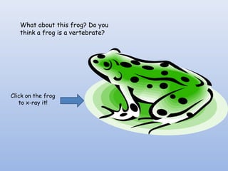 Invertebrates & Vertebrates x-ray_machine | PPT
