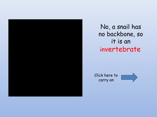 Invertebrates & Vertebrates x-ray_machine | PPT