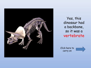 Invertebrates & Vertebrates x-ray_machine | PPT