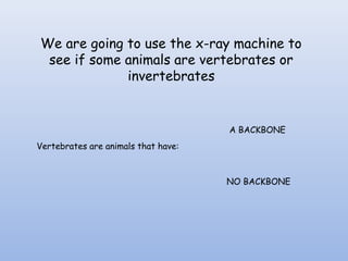 Invertebrates & Vertebrates x-ray_machine | PPT
