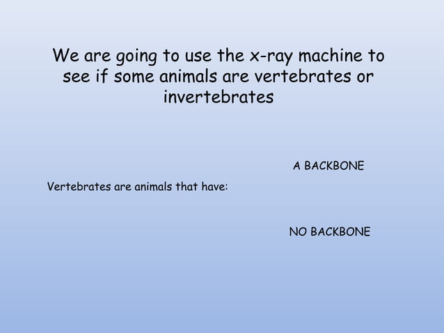Invertebrates & Vertebrates x-ray_machine | PPT