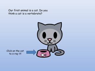 Invertebrates & Vertebrates x-ray_machine | PPT