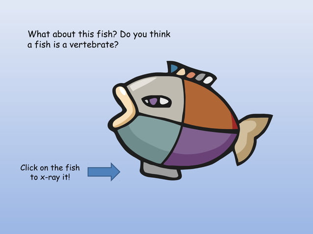 Invertebrates & Vertebrates x-ray_machine | PPT