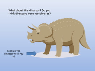 Invertebrates & Vertebrates x-ray_machine | PPT