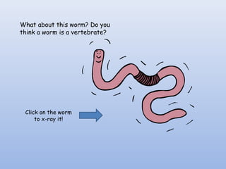 Invertebrates & Vertebrates x-ray_machine | PPT