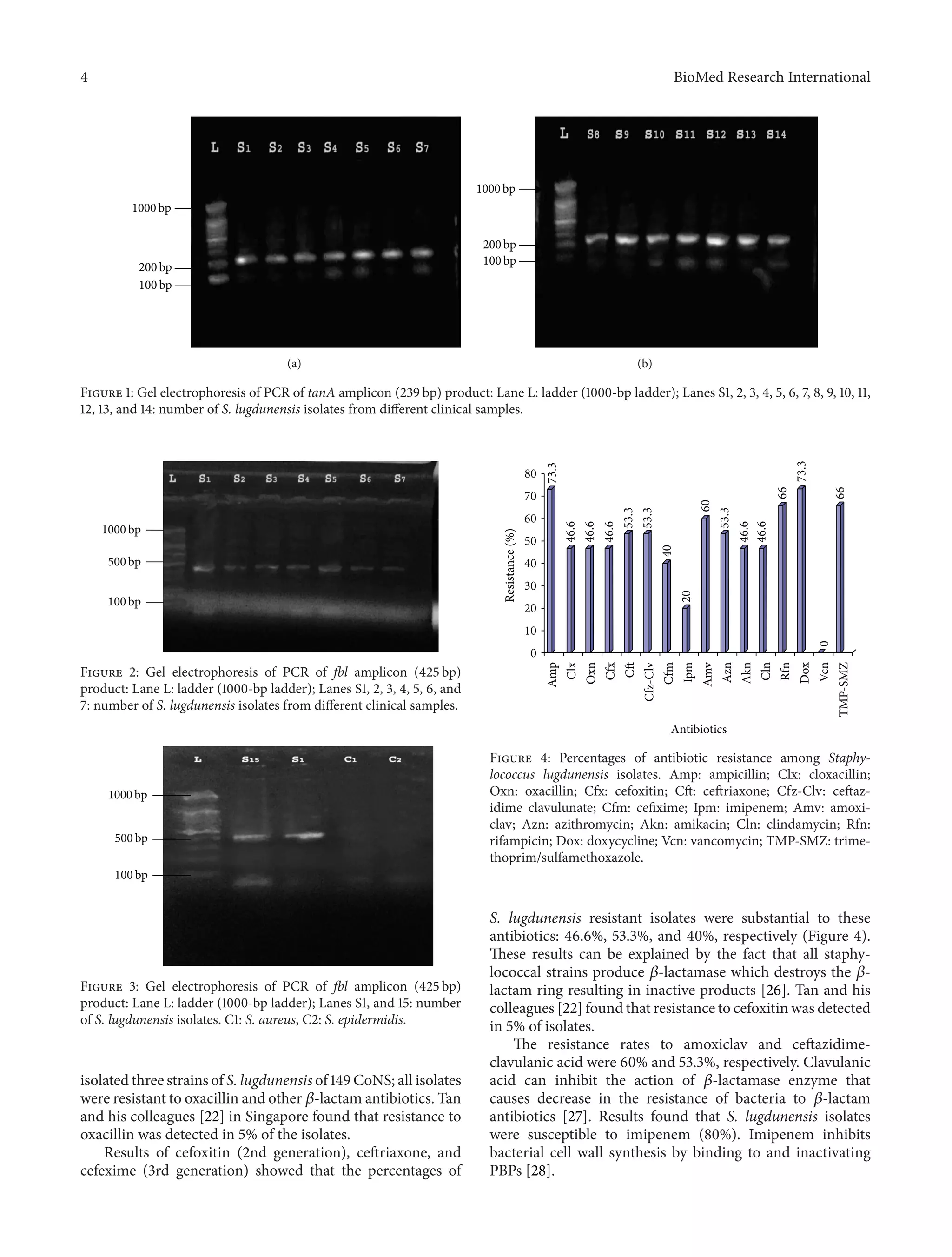 MRSL: Methicillin Resistant Staphylococcus lugdunensis | PDF