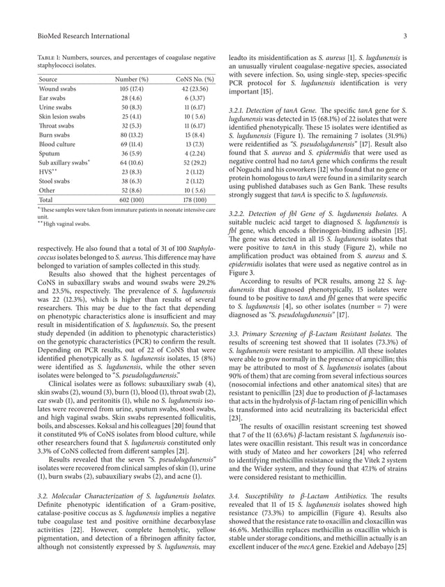 MRSL: Methicillin Resistant Staphylococcus lugdunensis | PDF ...