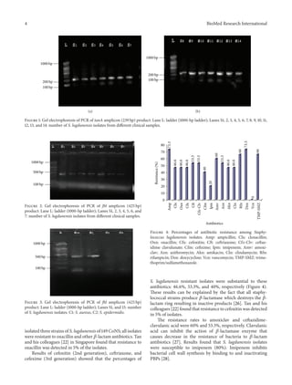 MRSL: Methicillin Resistant Staphylococcus lugdunensis | PDF ...