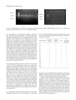 MRSL: Methicillin Resistant Staphylococcus lugdunensis | PDF | Infectious Diseases | Diseases ...