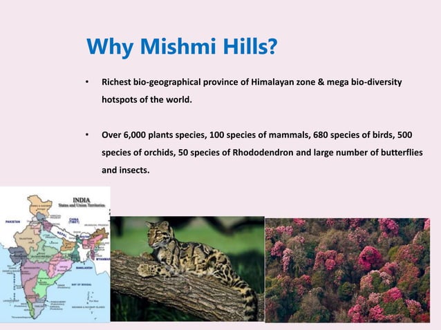 Community Conservation Approach in the Mishmi Hills of Arunachal ...