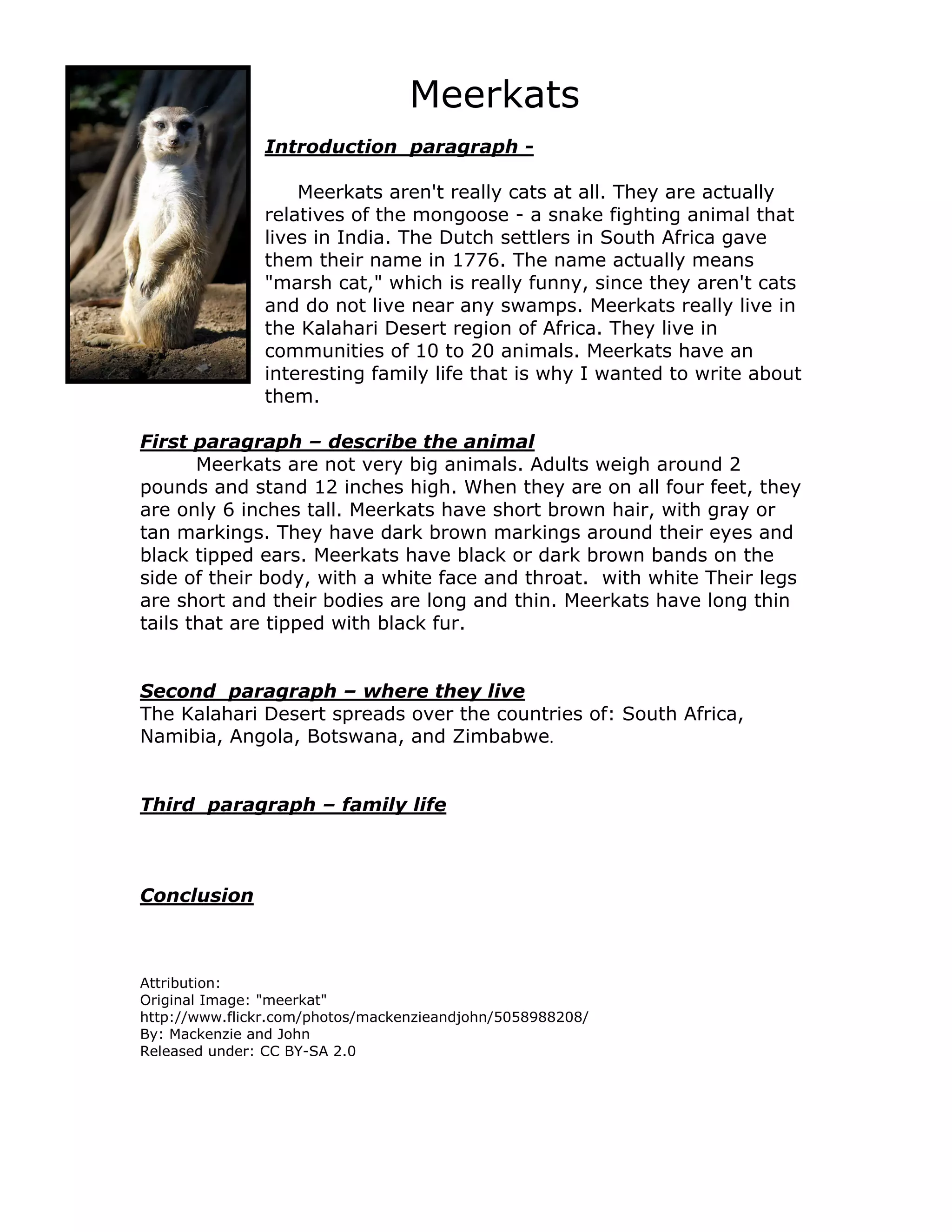 Meerkats by Mrs. W. | PDF