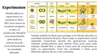 2)_LEYES_DE_MENDEL (GENERALIDADES)...pdf