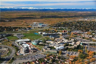 Mount Royal University: 1972 to 2021 | PDF