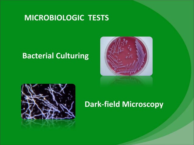 Lab Investigations in Perio | PPT