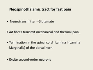 Pain and pain pathways | PPTX