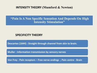 Pain and pain pathways | PPTX