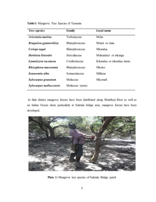 Tree species composition and above ground tree biomass estimation | DOCX