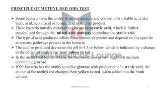 Methyl Red (MR) and Voges-Proskauer (VP) Test | PDF