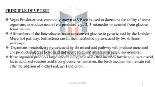 Methyl Red (MR) and Voges-Proskauer (VP) Test | PDF