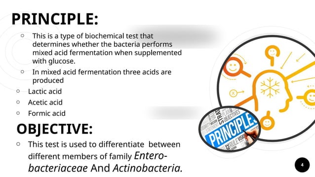 MRVP test Biochemical Test presentation ppt.pptx