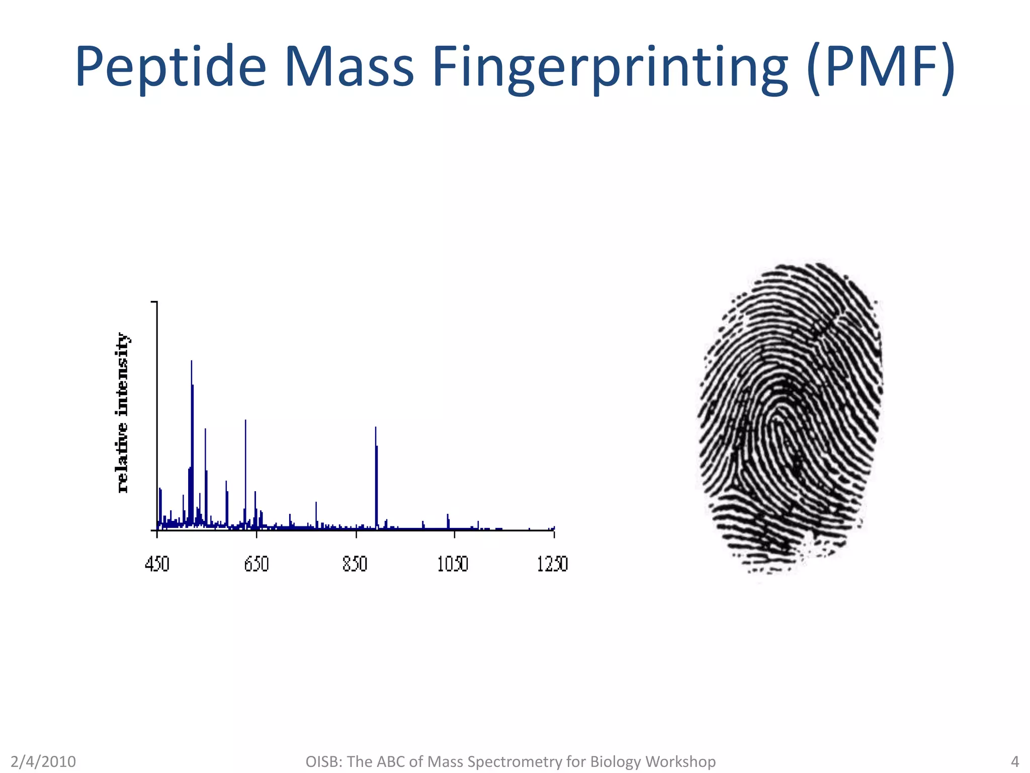 Mass Spectrometry: Protein Identification Strategies | PPTX