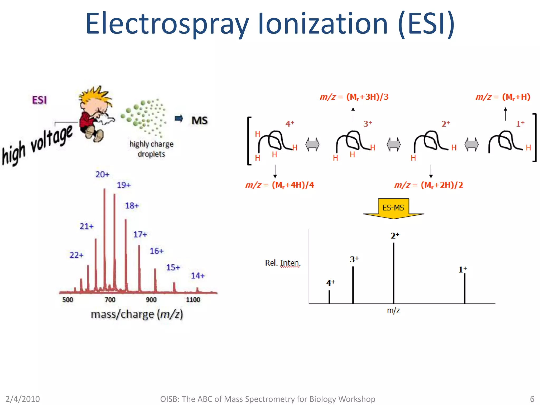 Mass Spectrometry: Protein Identification Strategies | PPTX