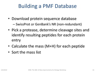 Mass Spectrometry: Protein Identification Strategies | PPTX