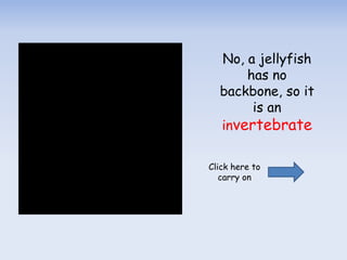 Vertebrates or Invertebrates Animal | PPT