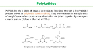 Polyketides, Macrolides & Bioengineering in the production of novel ...