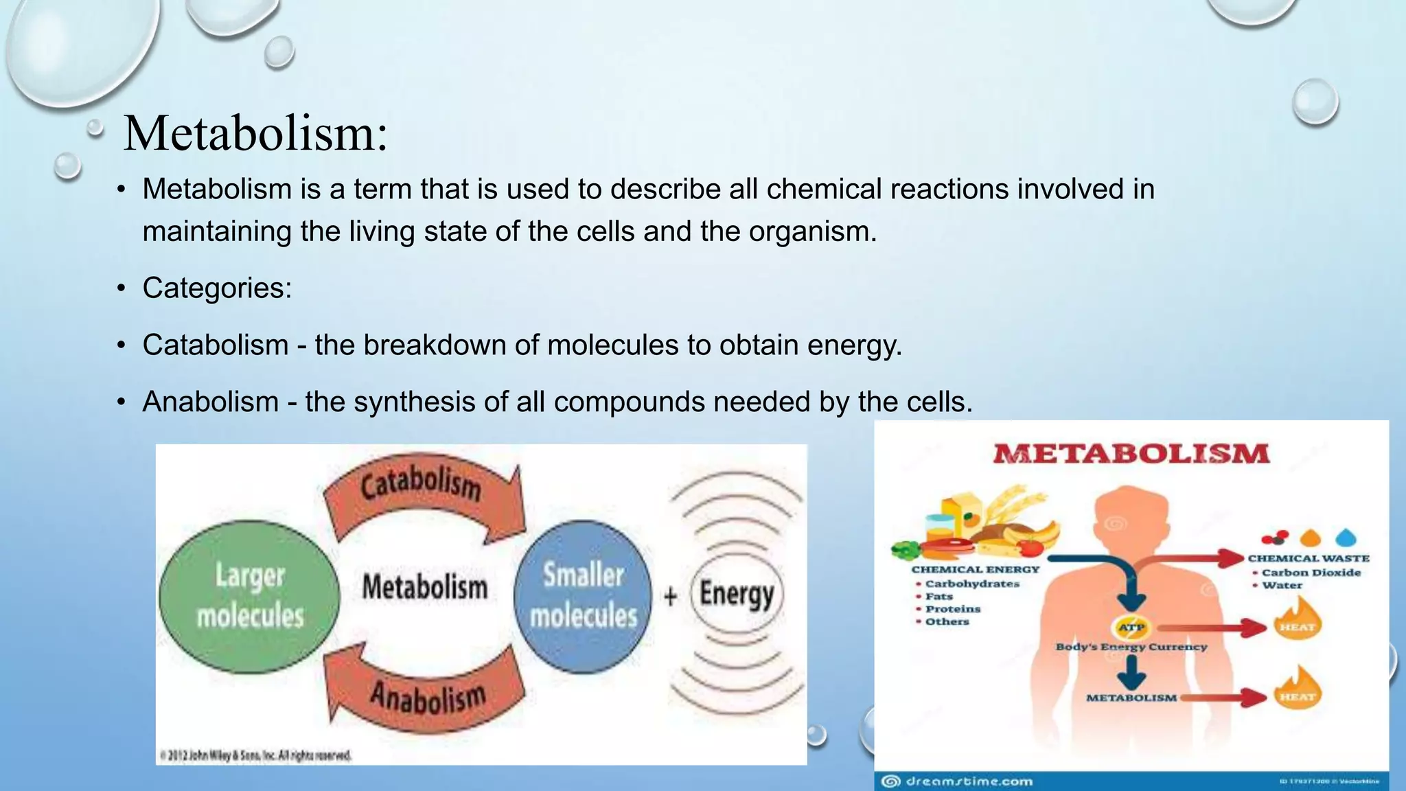 Role of vitamins in metabolism (1) | PPTX