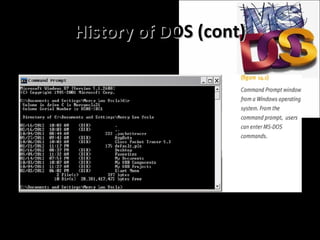 Ms dos | PPT