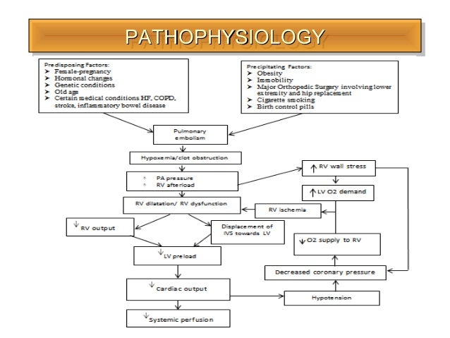 Pulmonary Embolism Pathology