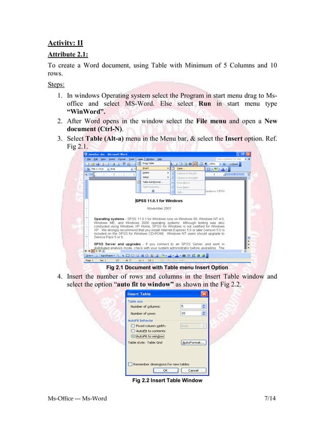Ms office practical | PDF