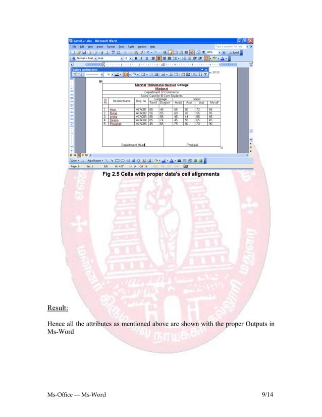 Ms office practical | PDF