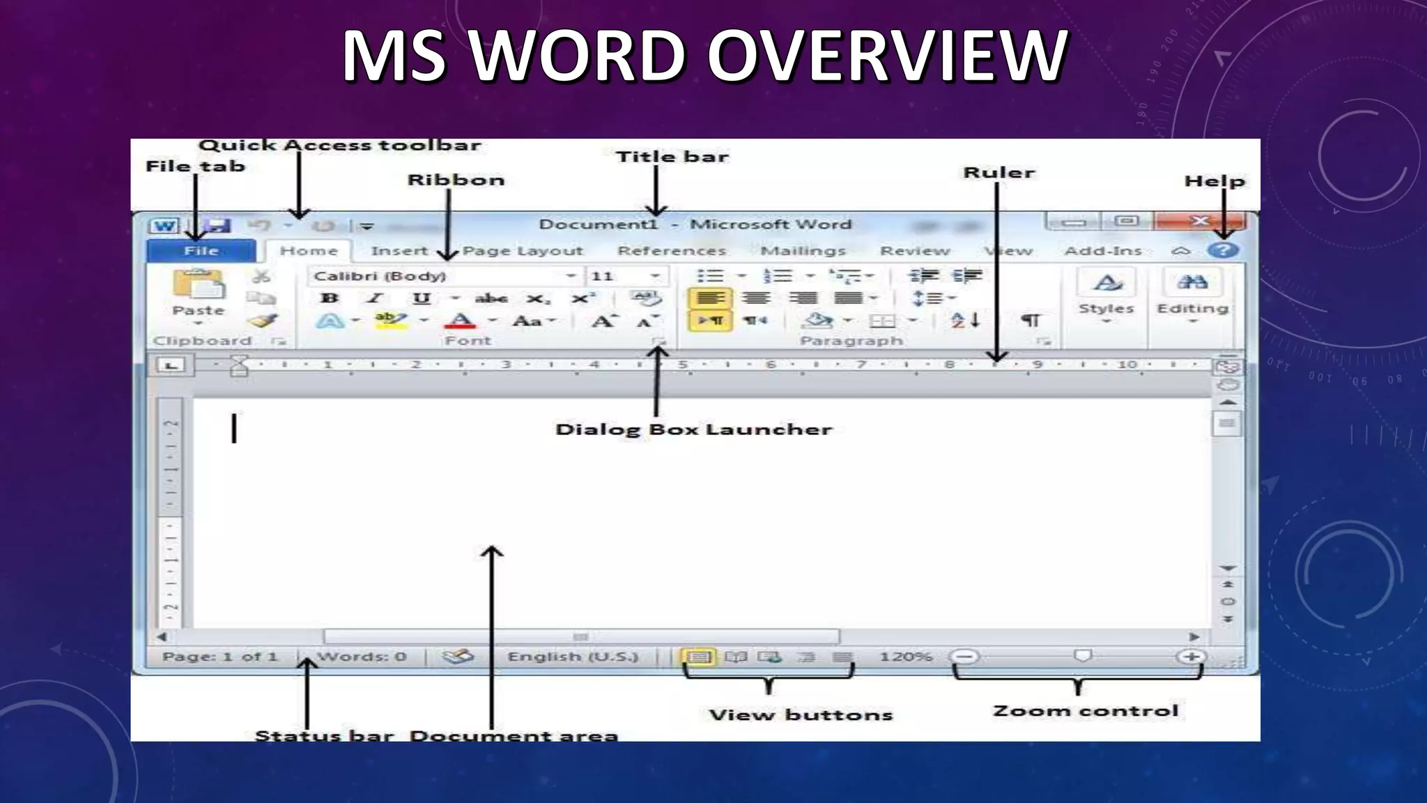 MS-WORD PPT.pptx