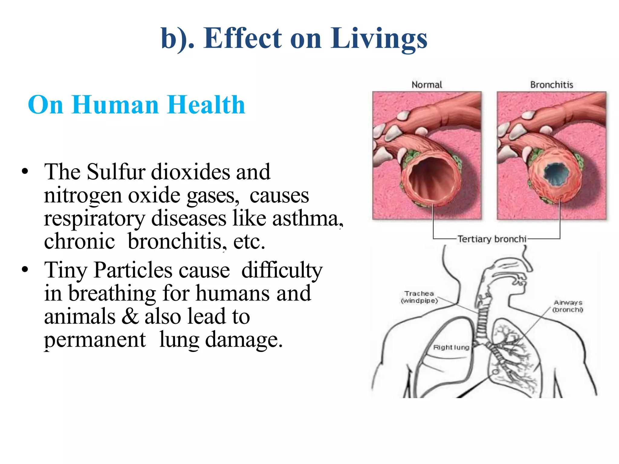 Acid rain its Causes and Effects | PPT
