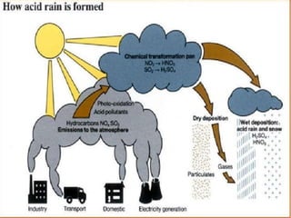 Acid rain its Causes and Effects | PPT | Science
