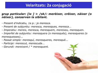 MS08 Verb irregulars | PPT