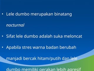 budidaya_ikan_lele.ppt khususnya untuk pembesaran | PPT