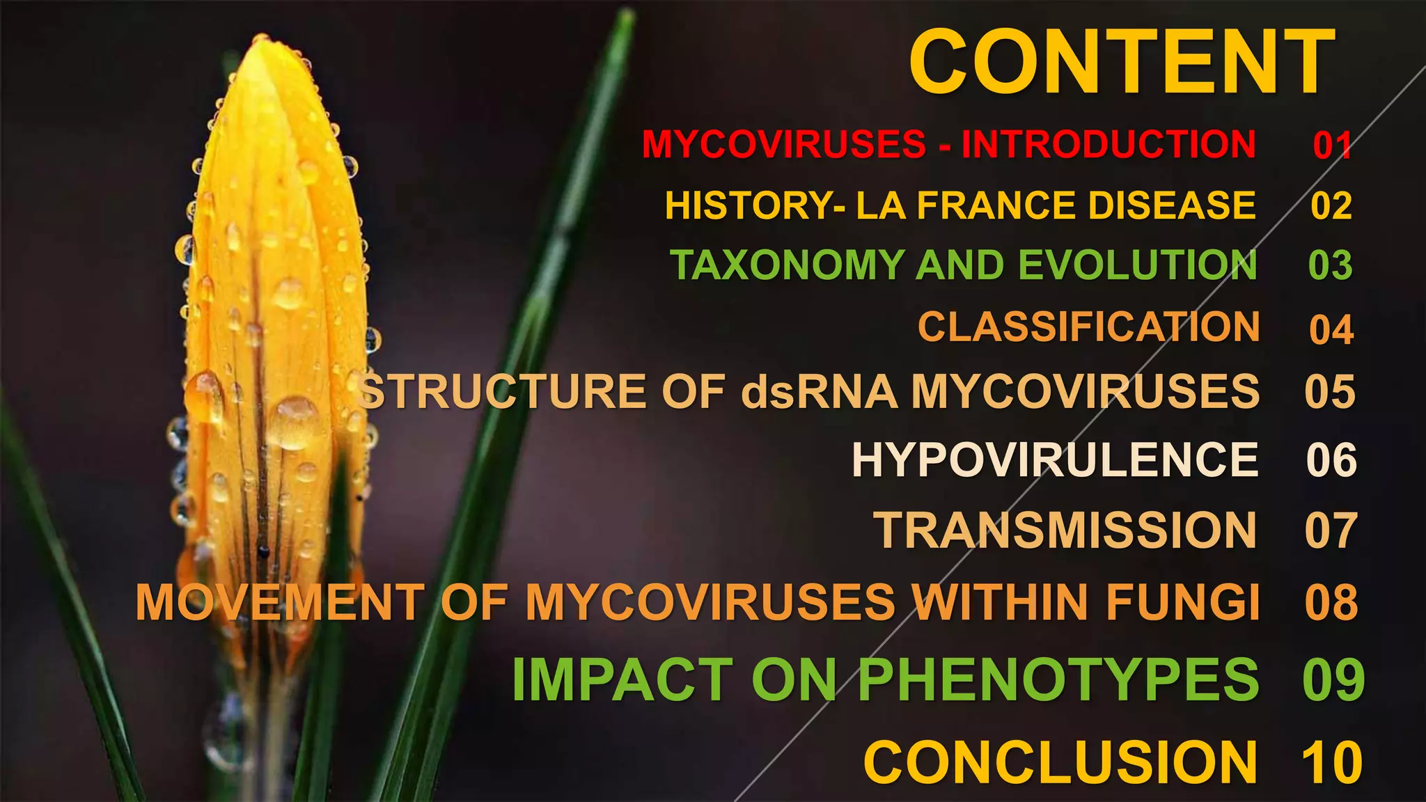 Mycovirus - A Natural Fungicide | PDF