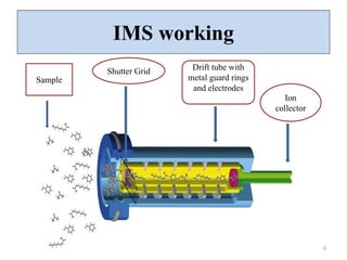 MS15029_Presentation.pptx
