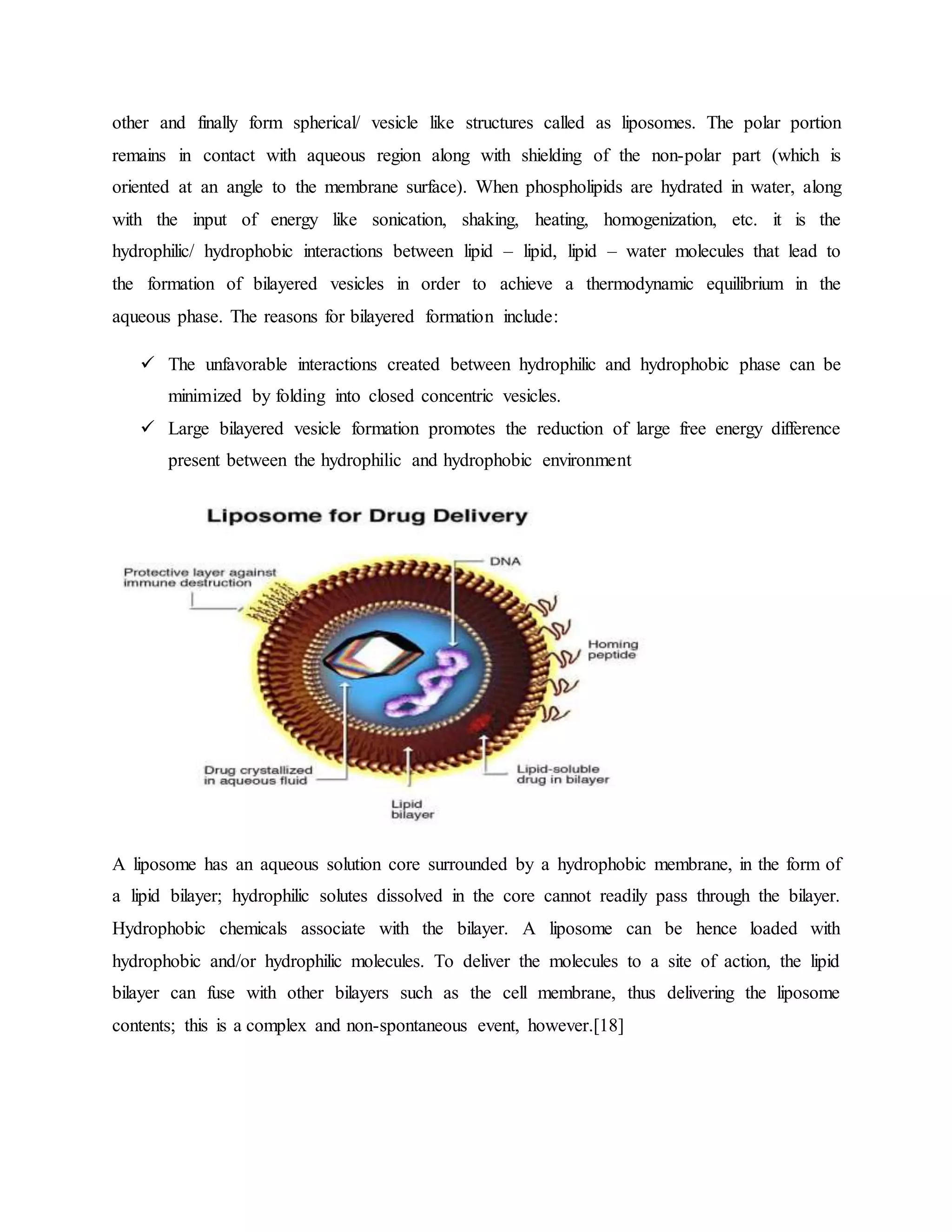 Liposome drug delivery system | DOCX | Chemistry | Science