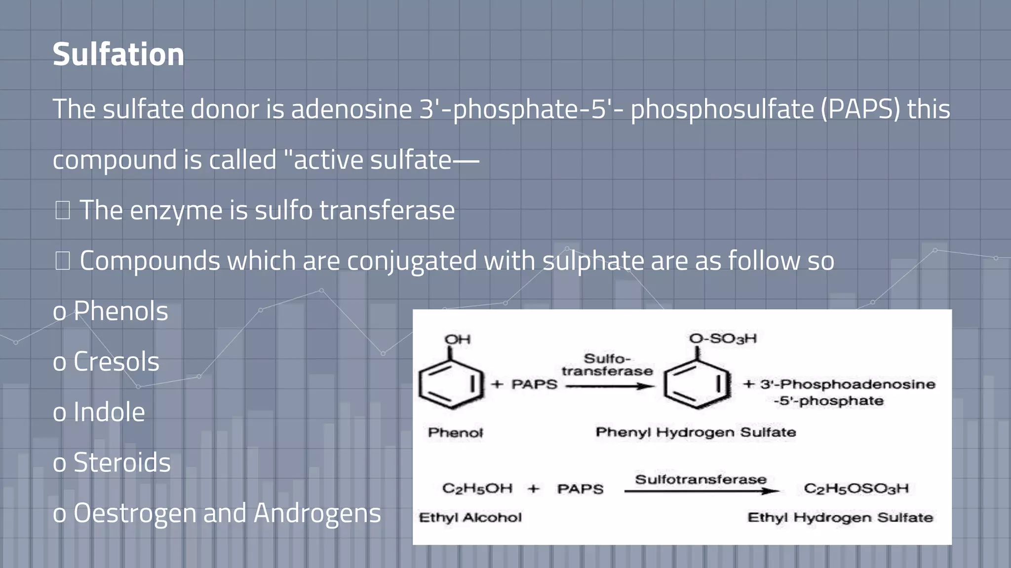 Biotransformation of toxicants | PPTX