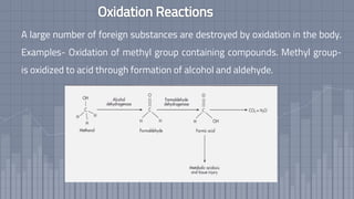 Biotransformation of toxicants | PPTX