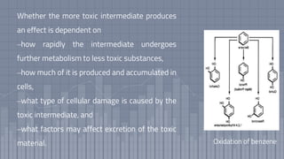 Biotransformation of toxicants | PPTX