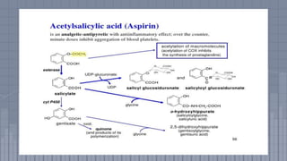 Biotransformation of toxicants | PPTX