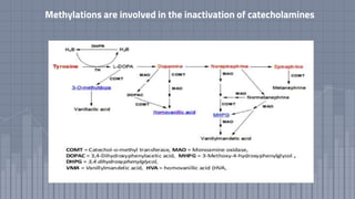 Biotransformation of toxicants | PPTX