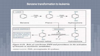 Biotransformation of toxicants | PPTX