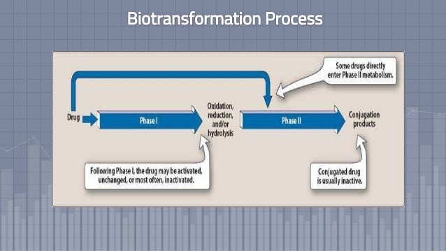 Biotransformation of toxicants