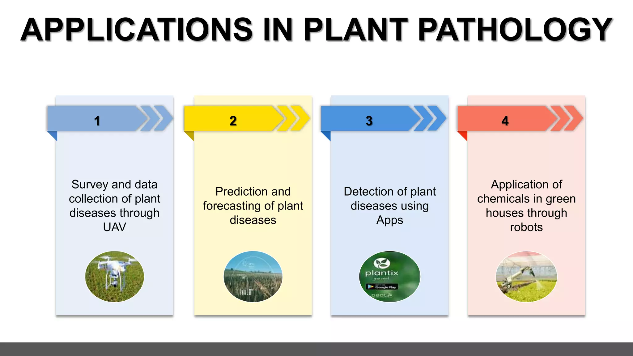 APPLICATION OF ARTIFICIAL INTELLIGENCE TO TRACK PLANT DISEASES | PPTX
